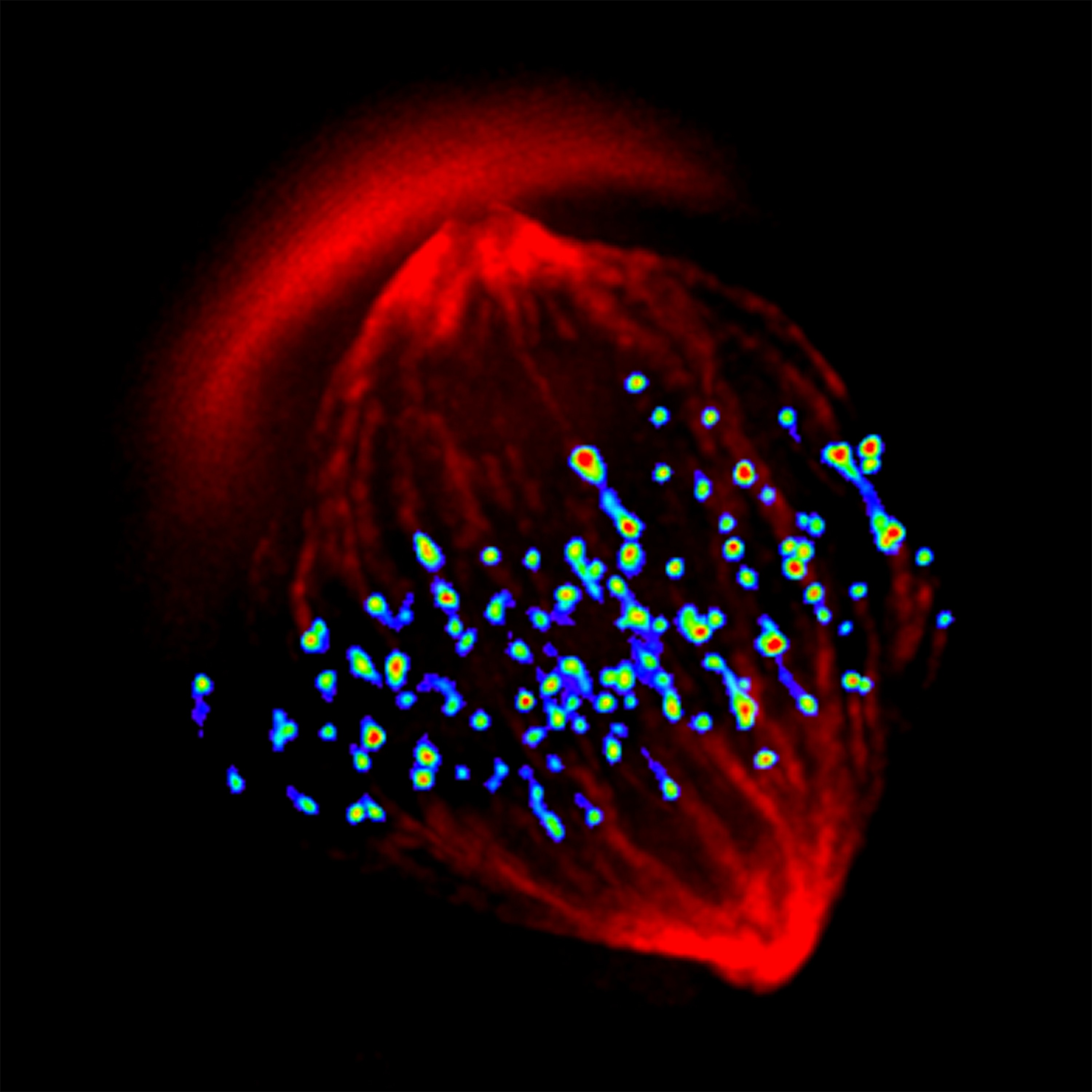 Cancer center puts the art of science on display – Cosmic Log