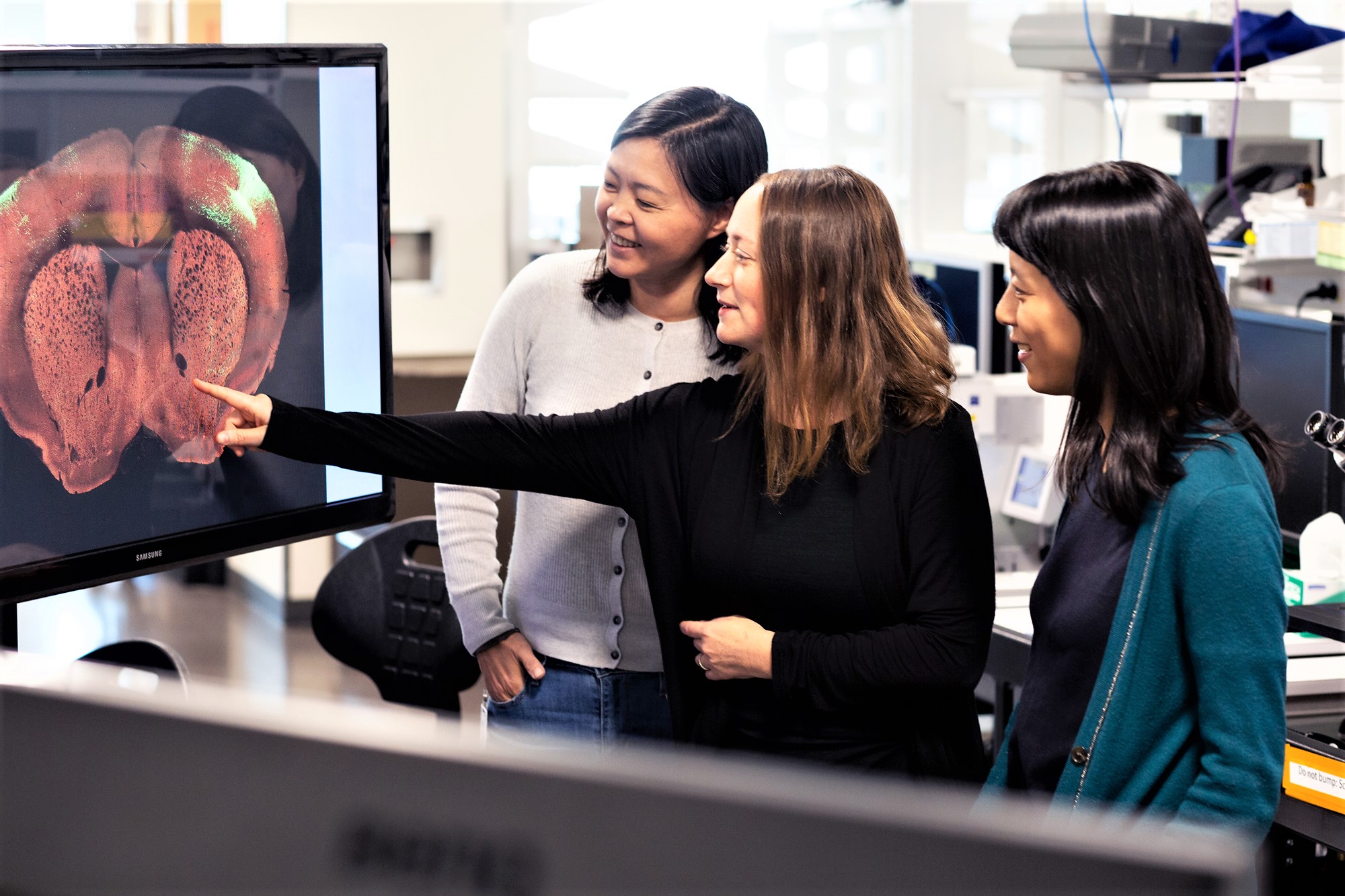 Allen Institute maps out ‘org chart’ for brain – Cosmic Log